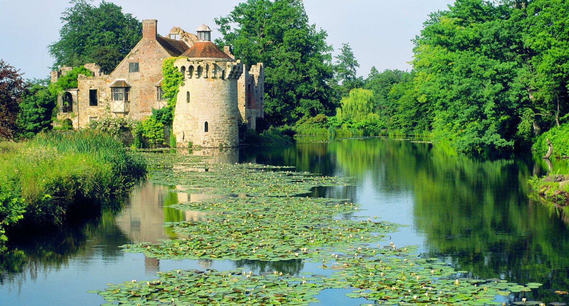Nature and Outdoor Activities in Tunbridge Wells | Crutch Bros